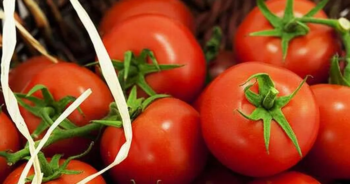 Domates fiyatında son 7 yılın rekoru! - WeBursa